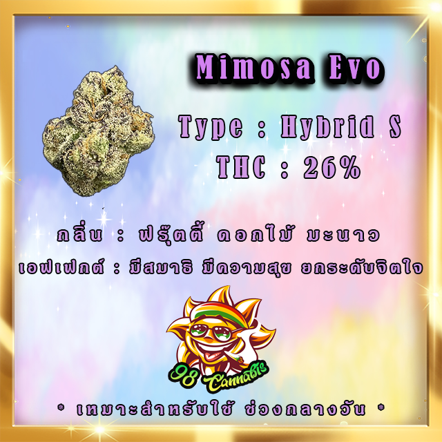 Exotic – thaimultiglass