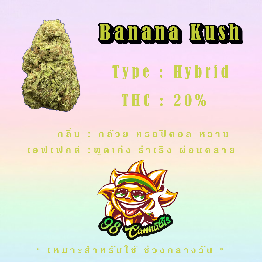 Mid Grade – thaimultiglass