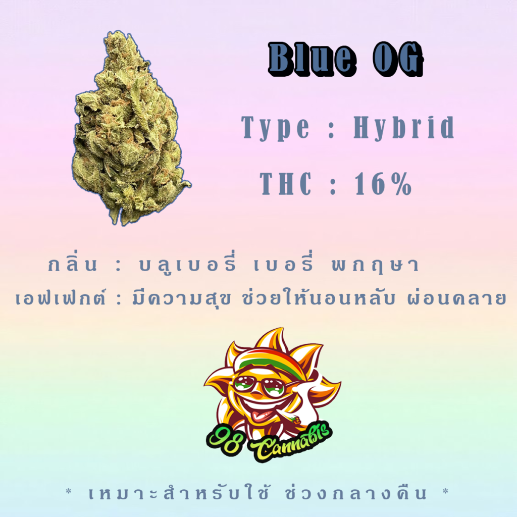Blue OG – thaimultiglass