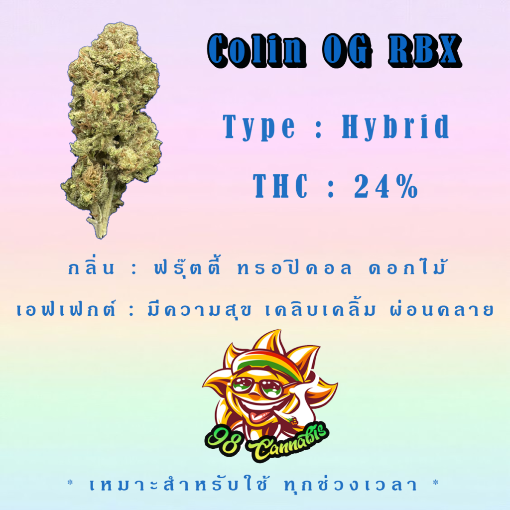 Mid Grade – thaimultiglass