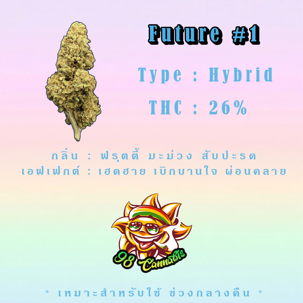 Mid Grade – thaimultiglass