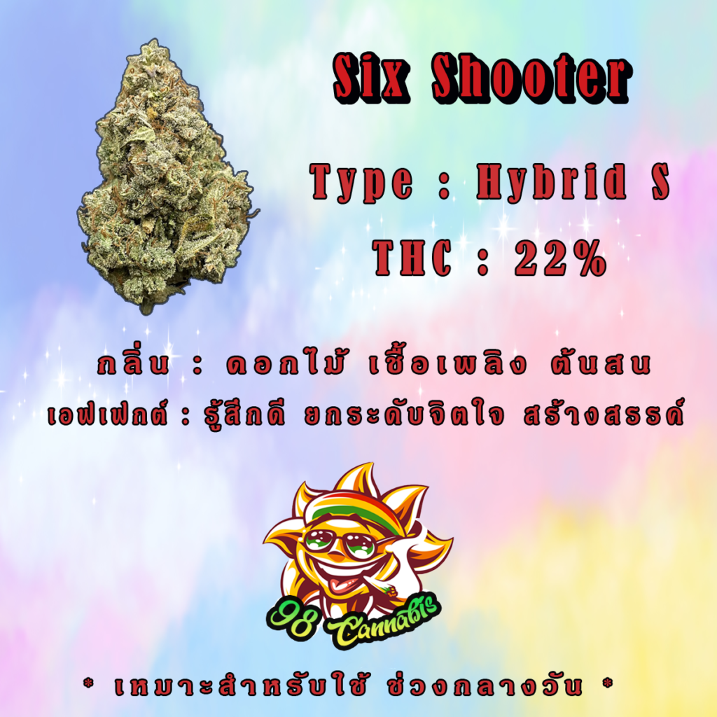 Six Shooter – thaimultiglass