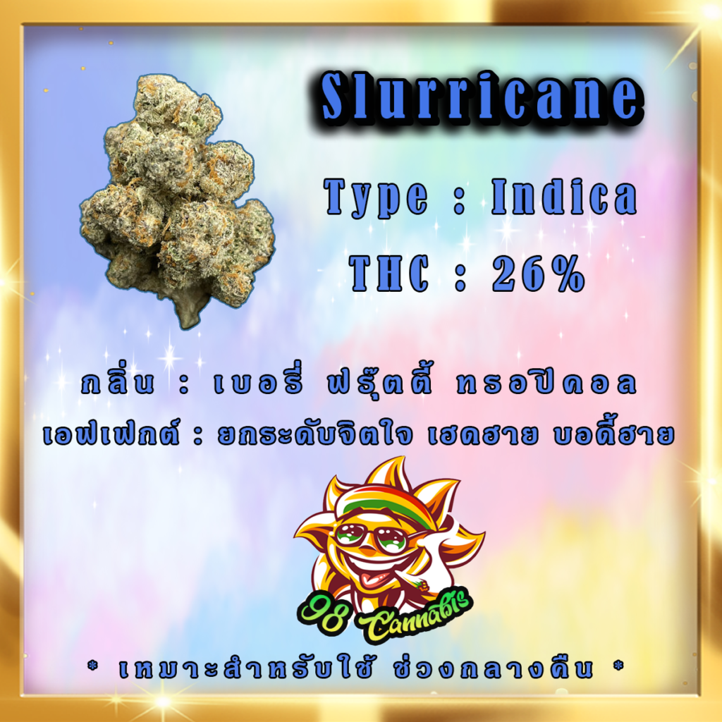 Slurricane – thaimultiglass