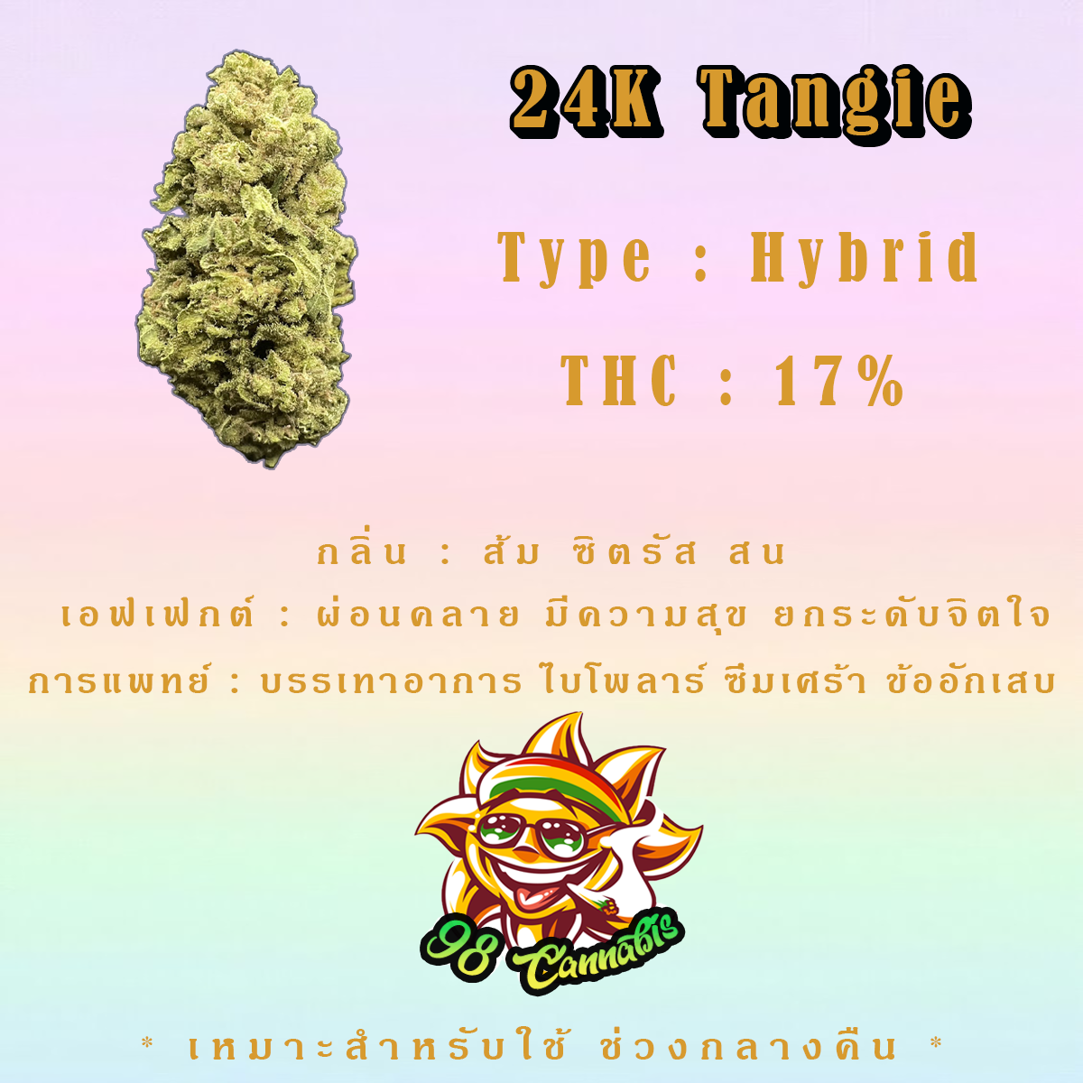 Mid Grade – thaimultiglass