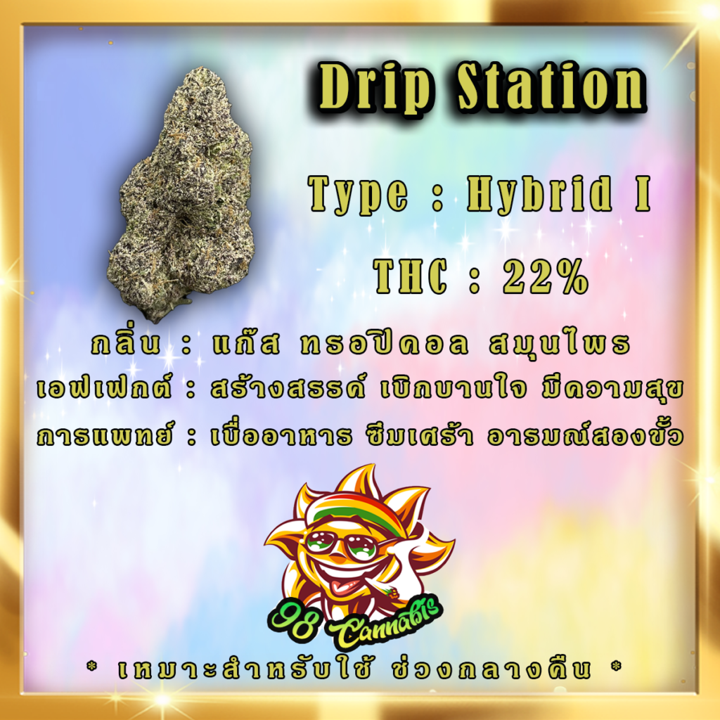 Drip Station – thaimultiglass