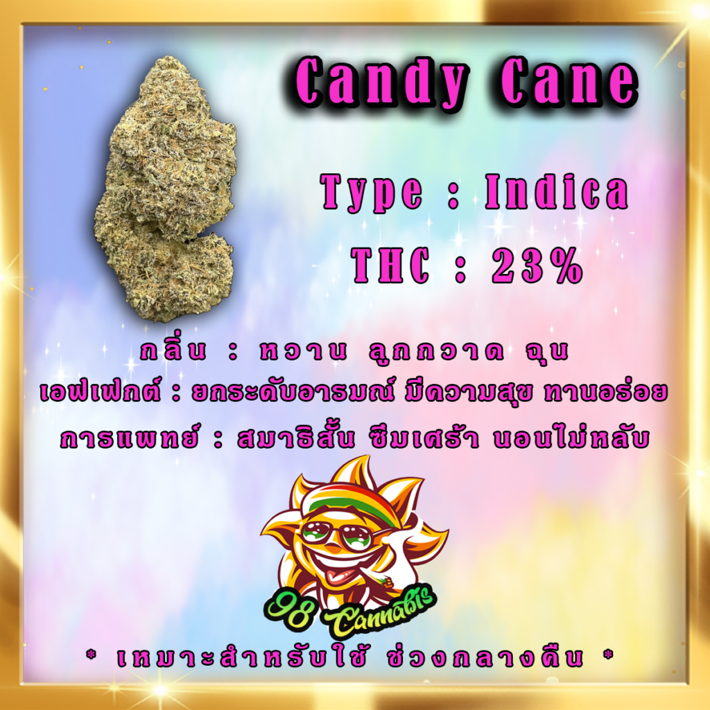 Candy Cane – thaimultiglass