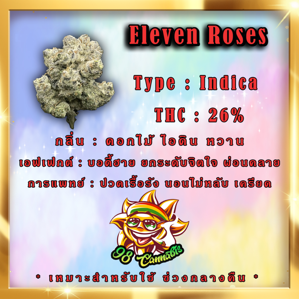 Eleven Roses – thaimultiglass