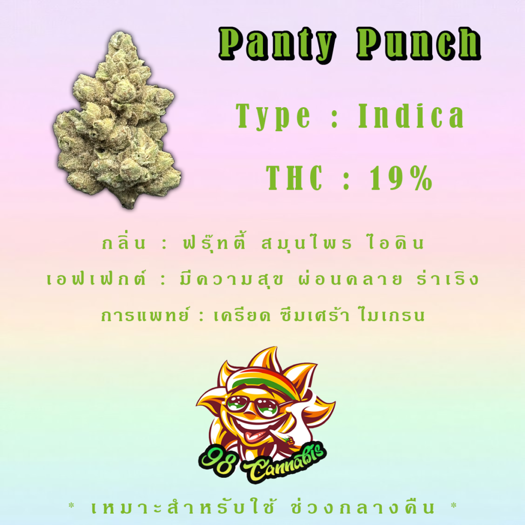 Panty Punch – thaimultiglass