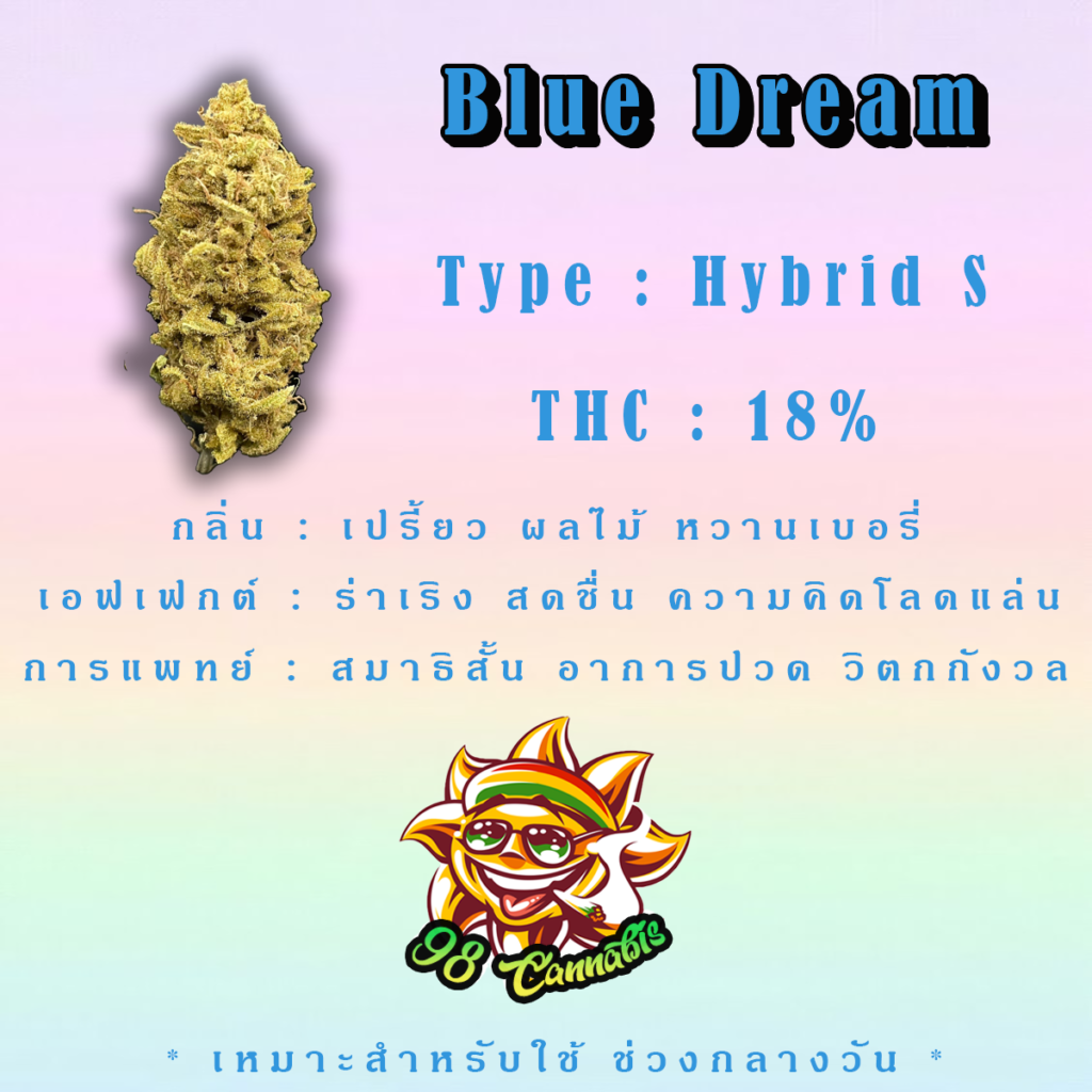 Blue Dream – thaimultiglass